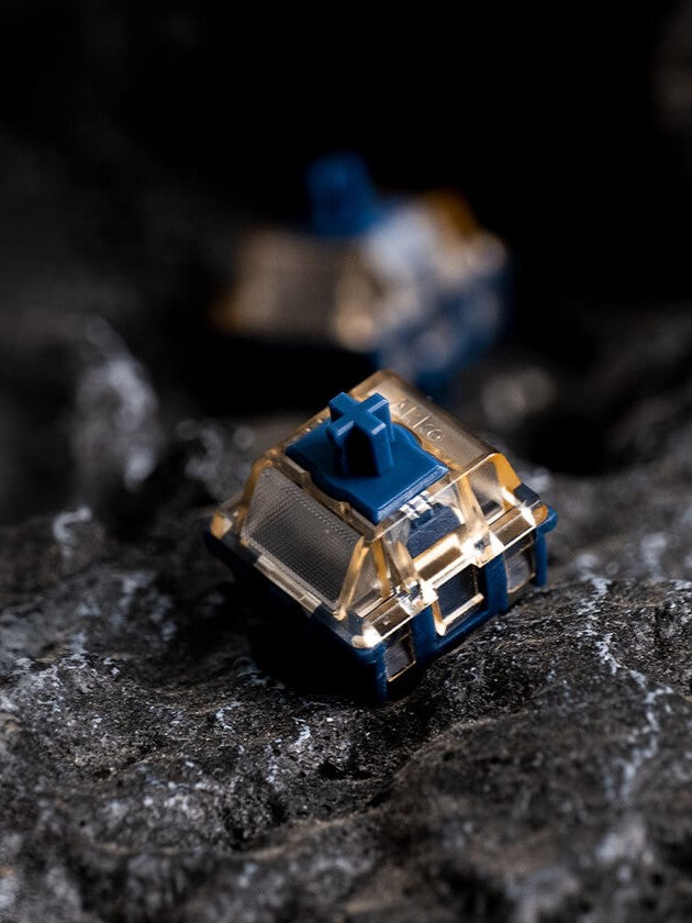 Switches – Aryan Tech